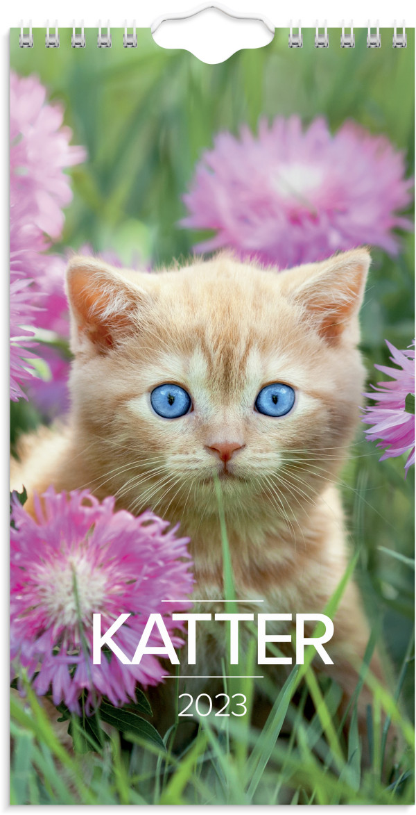 Väggkalender 2023 Liten Kattkalender - Burde - EKO:-