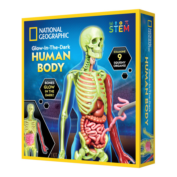 National Geographic Human Body Science Kit - EKO:-