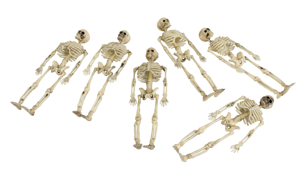 Bag Of Skeleton 15 Cm 6 Pcs - - EKO:-