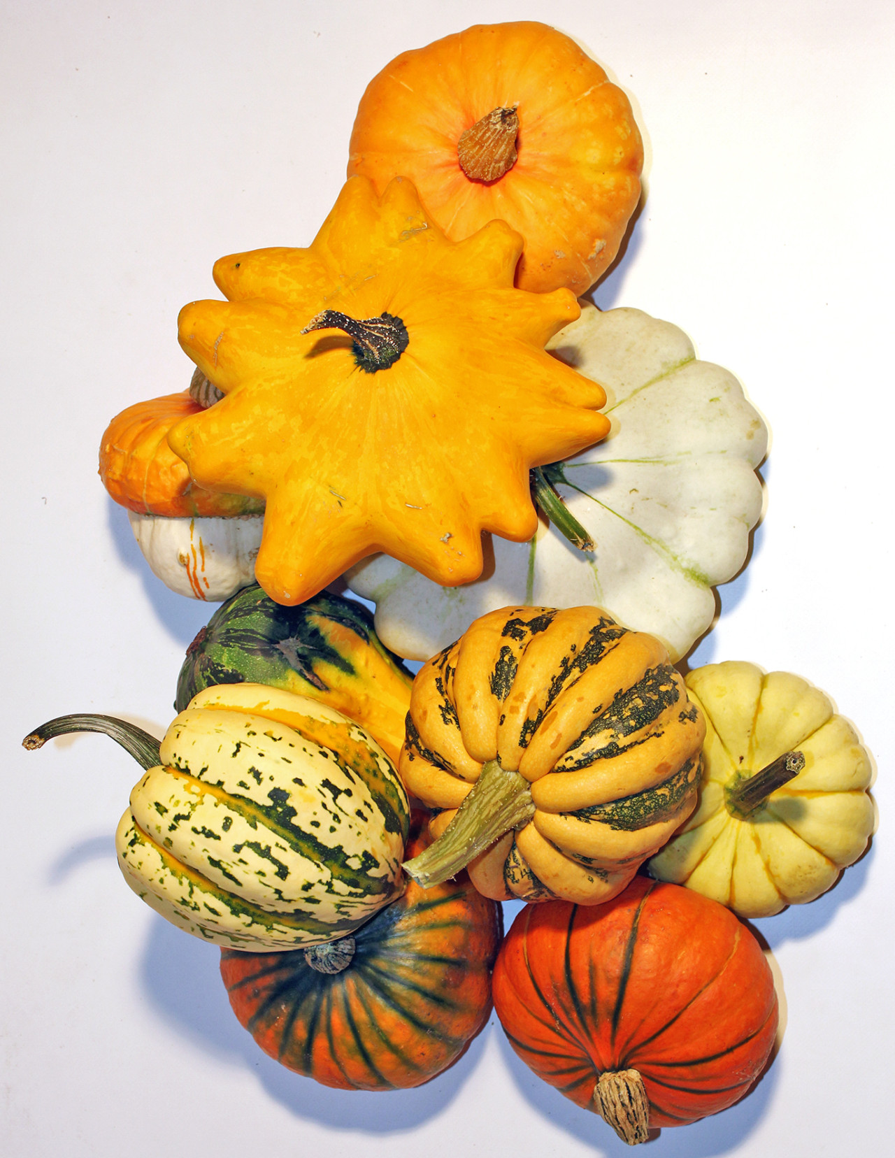 Prydnadspumpa Små Mix - - EKO:-