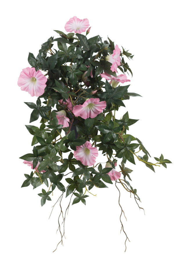 Blomma För Dagen - Mr Plant - EKO:-