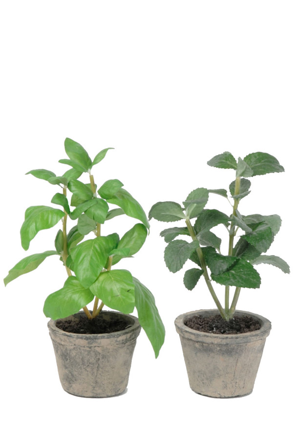 Kryddmix - MR PLANT - EKO:-