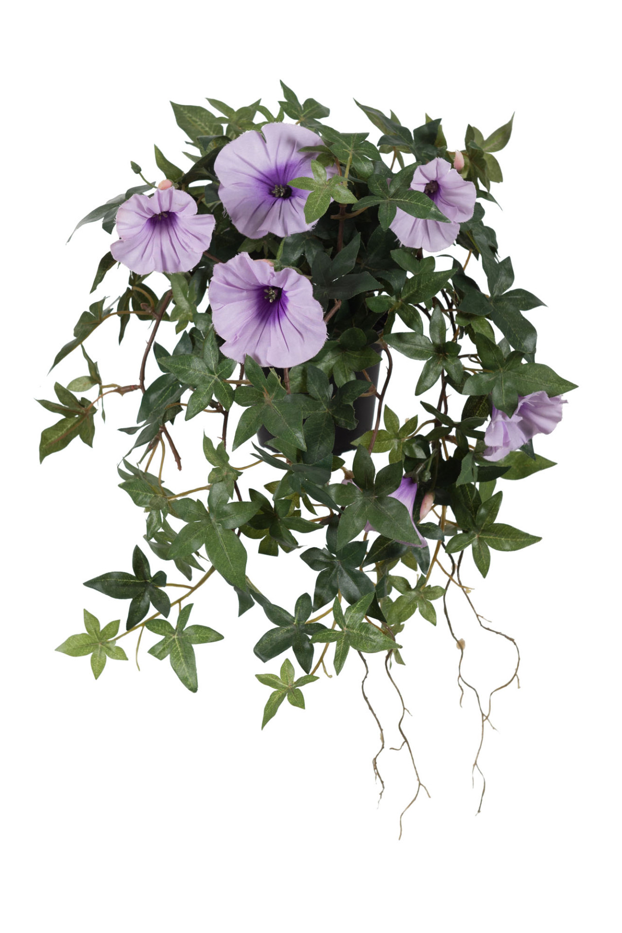 Blomma För Dagen - Mr Plant - EKO:-