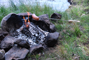 Grillpinne Teleskop - Briv - EKO:-