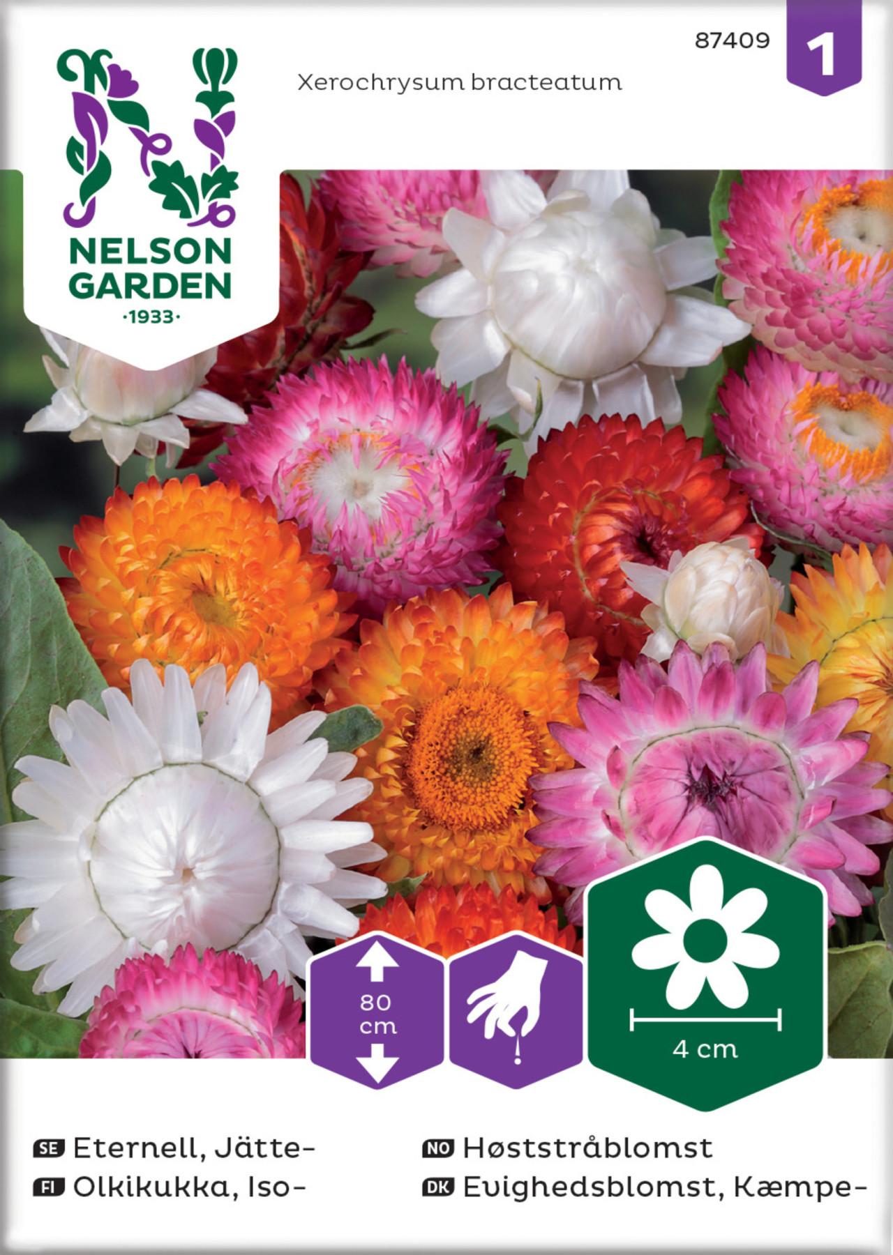 NELSON PG1 FRÖ ETERNELL, JÄTTE-, HÖG, MIX - EKO:-