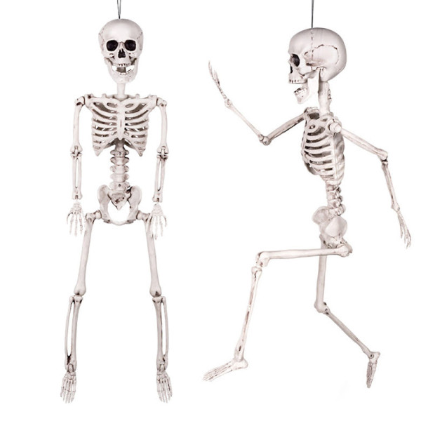 Prop, Skelett 60 Cm - EKO:-